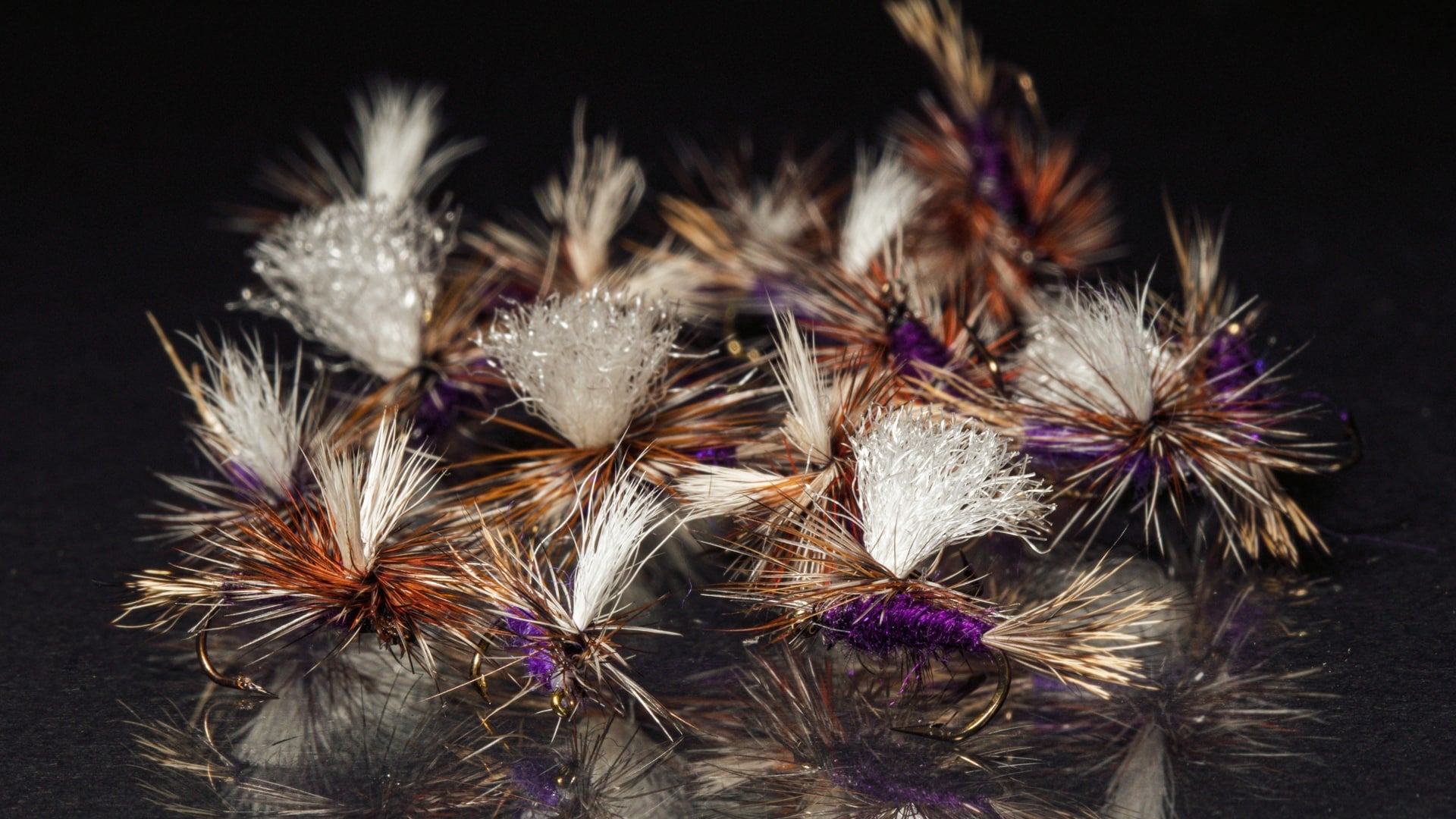 Jackson Hole Fly Company – High-Quality Fly Fishing Gear for Less