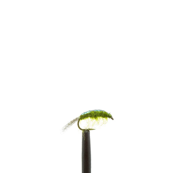 Flashback Scud - Olive – Jackson Hole Fly Company