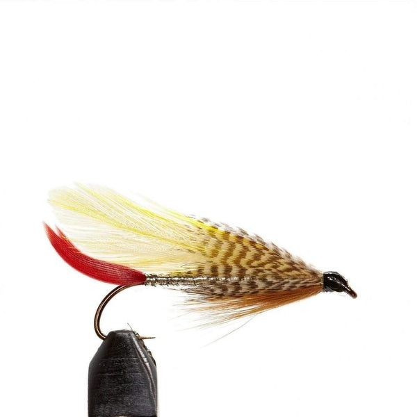 Colonel Bates Steamer Fly – Jackson Hole Fly Company