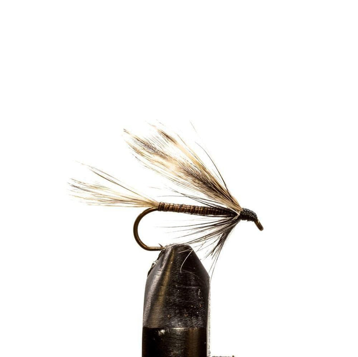 Emergers – Jackson Hole Fly Company