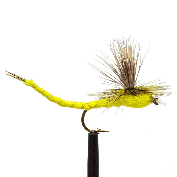 Parachute Hex – Yellow/Olive Dry Fly – Jackson Hole Fly Company