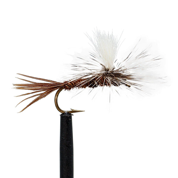 Parachute Pheasant Tail Dry Fly – Mayfly Imitation – Jackson Hole Fly ...